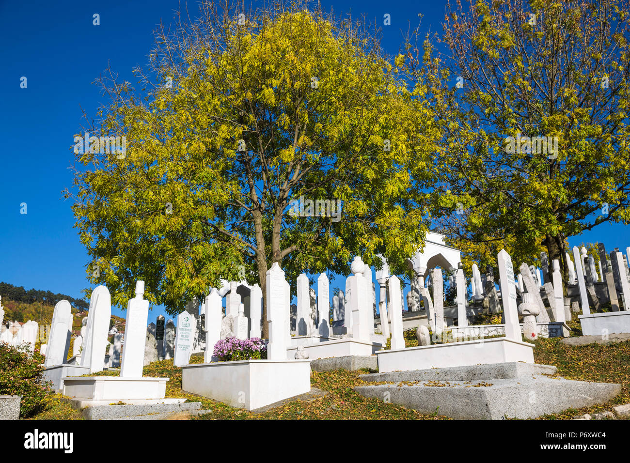 Bosnia and Herzegovina, Sarajevo, Alifakovac, Alifakovac Cemetery ...