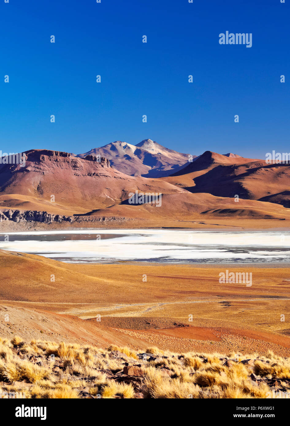 Bolivia, Potosi Department, Sur Lipez Province, View towards Laguna ...