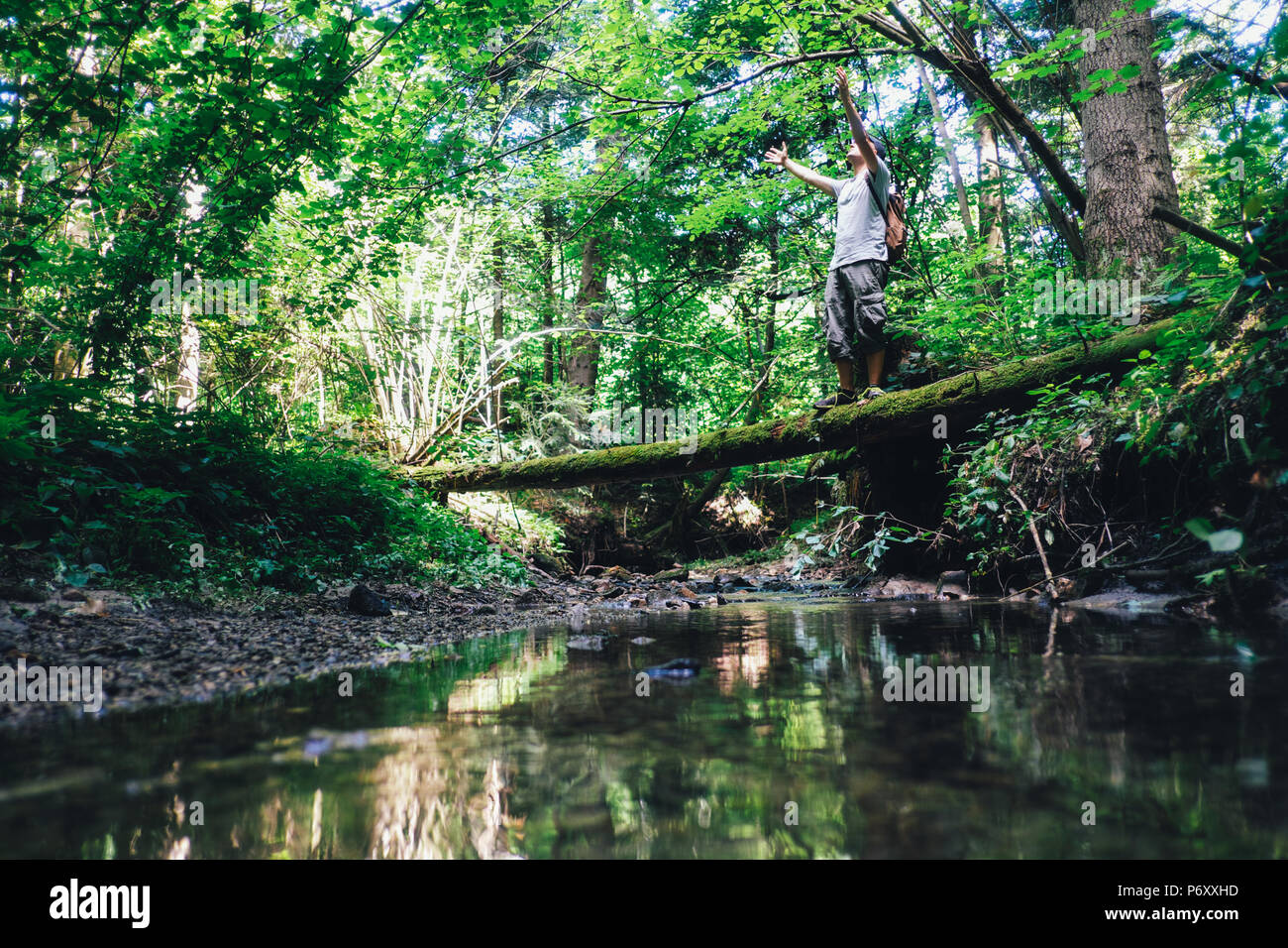 Clean river green forest in hi-res stock photography and images - Alamy