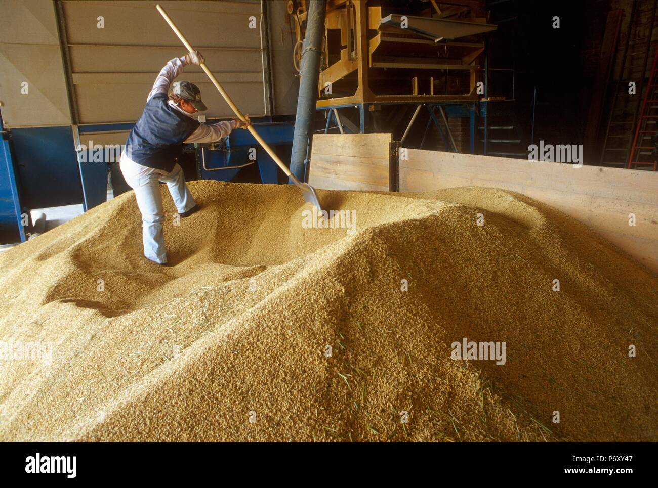 Rice dryer hi-res stock photography and images - Alamy