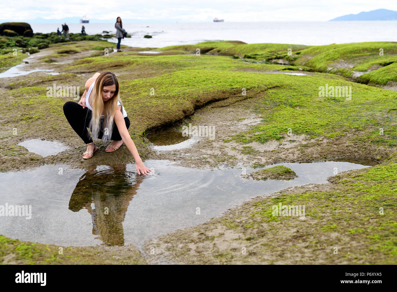 Intertidal zone hi-res stock photography and images - Alamy