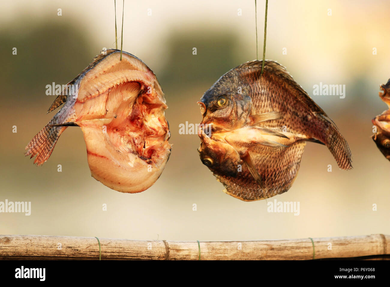 Golden bamboo pole hi-res stock photography and images - Alamy