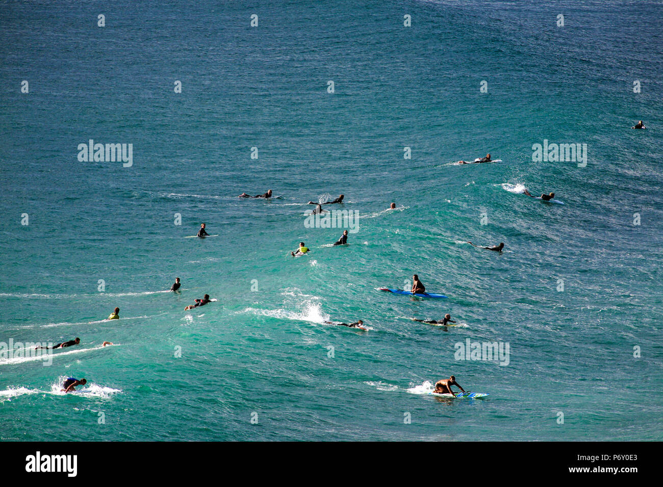Surfing crowd in the waves at Muriwai beach, Auckland Stock Photo - Alamy
