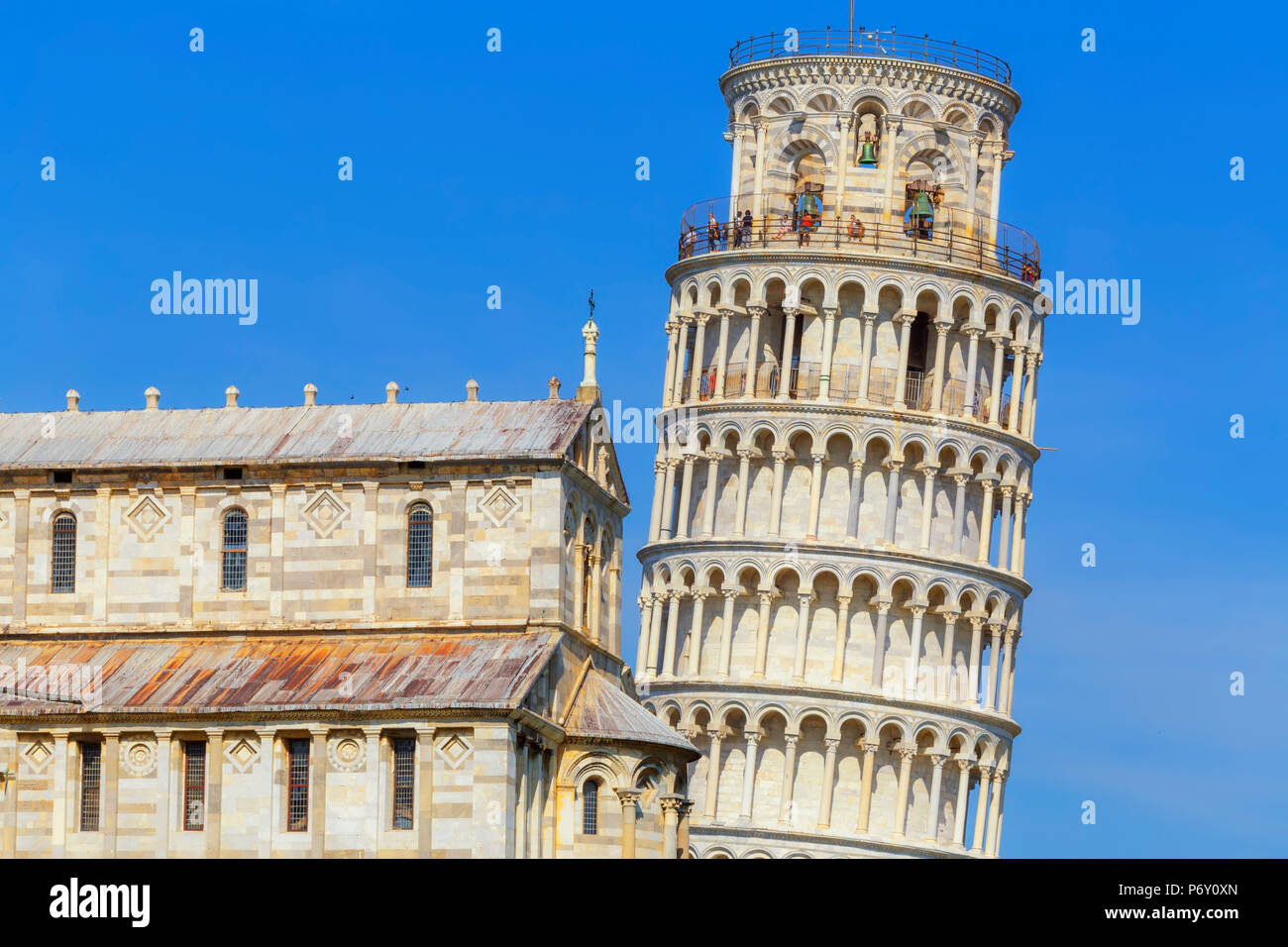 Leaning Tower and Cathedral, Campo dei Miracoli, Pisa, Tuscany, Italy ...