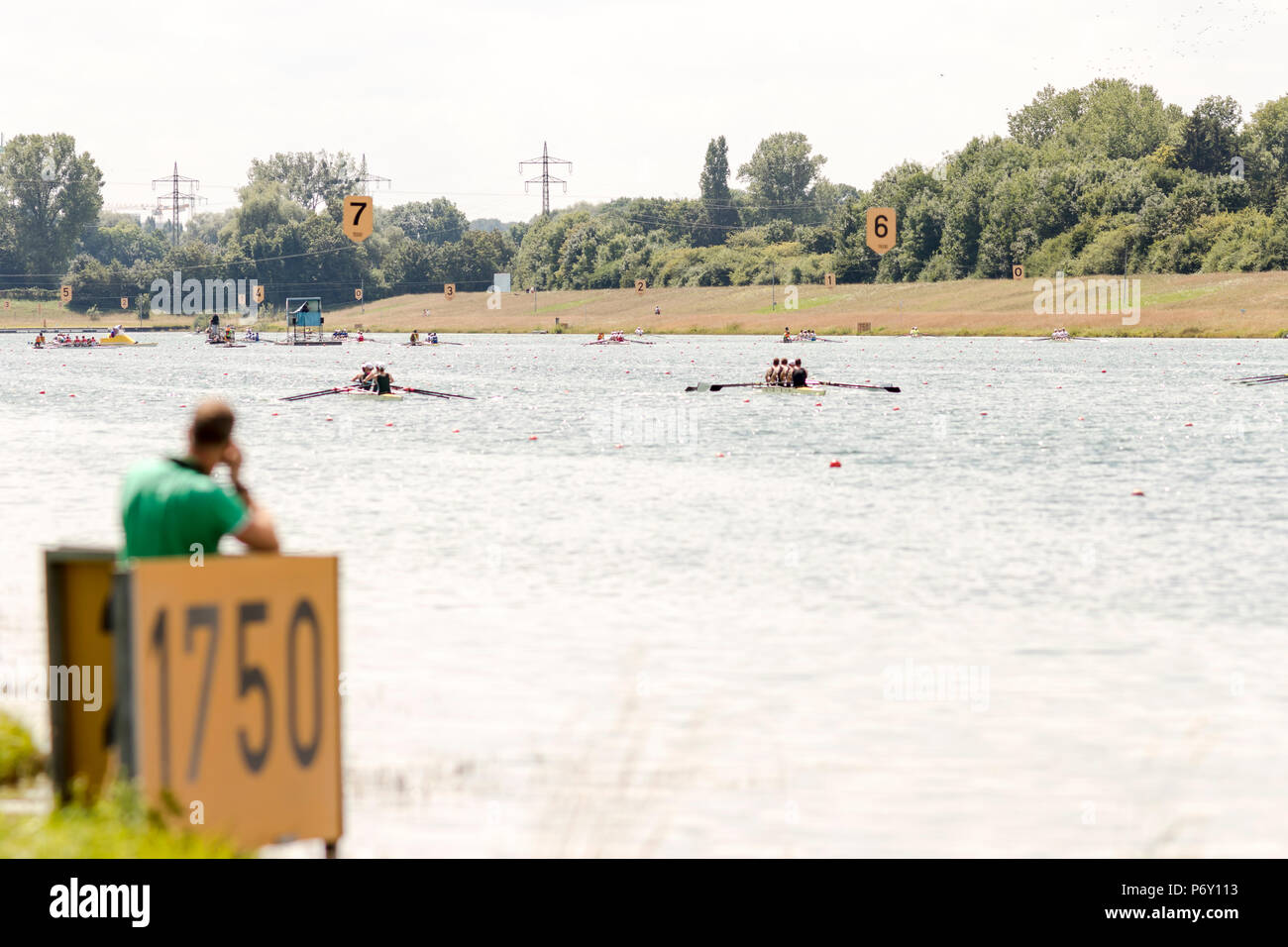 Rowers in rowing boats on the tranquil lake Stock Photo - Alamy