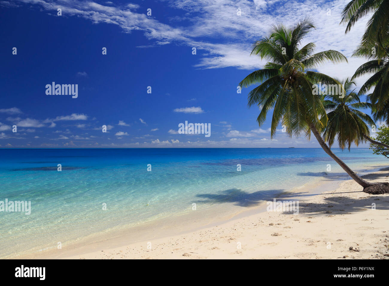 Maldives, South Ari Atoll, Mandhoo Island Stock Photo - Alamy