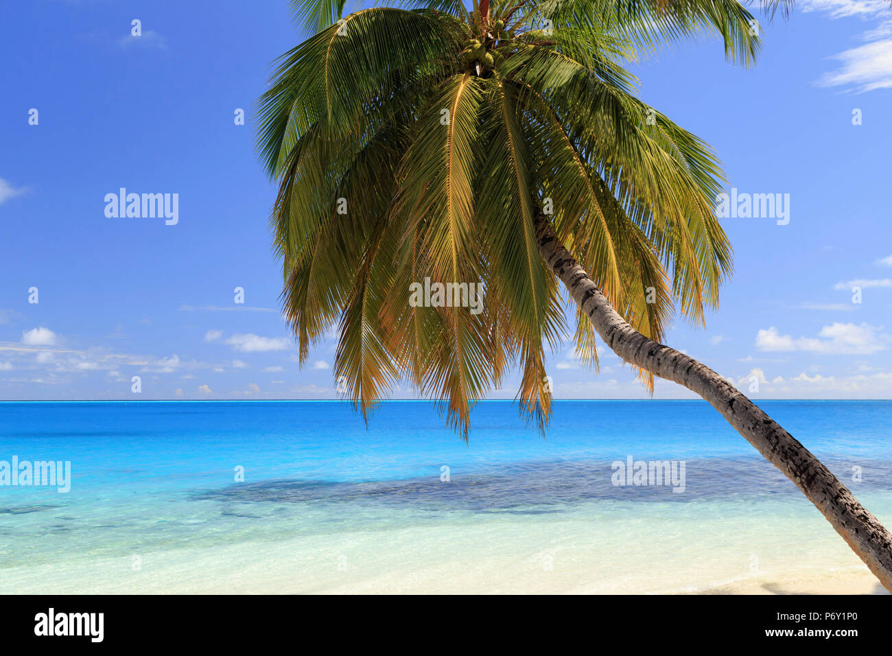 Maldives, South Ari Atoll, Mandhoo Island Stock Photo - Alamy