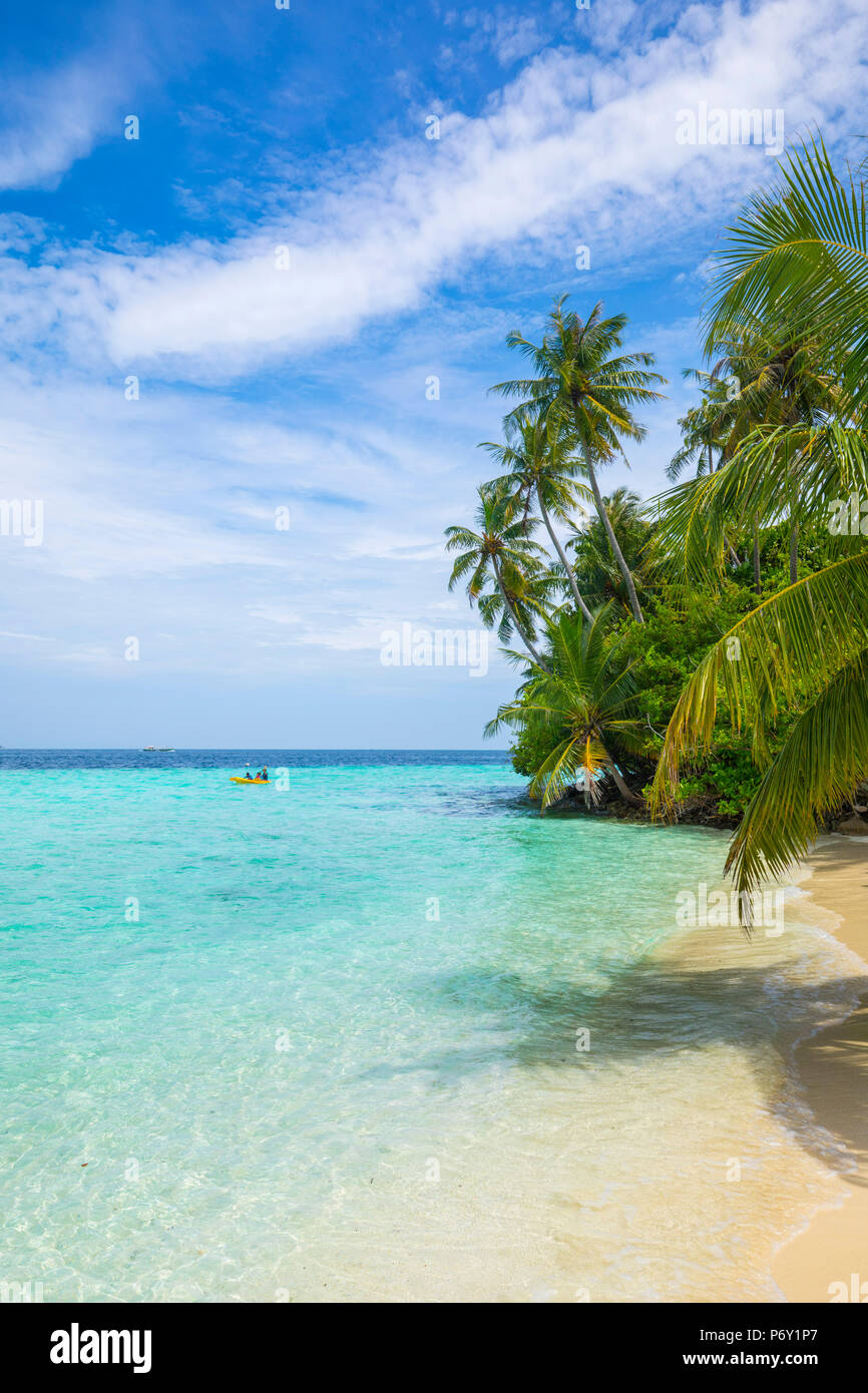 Beach on a tropical island in the South Male Atoll, Maldives Stock ...
