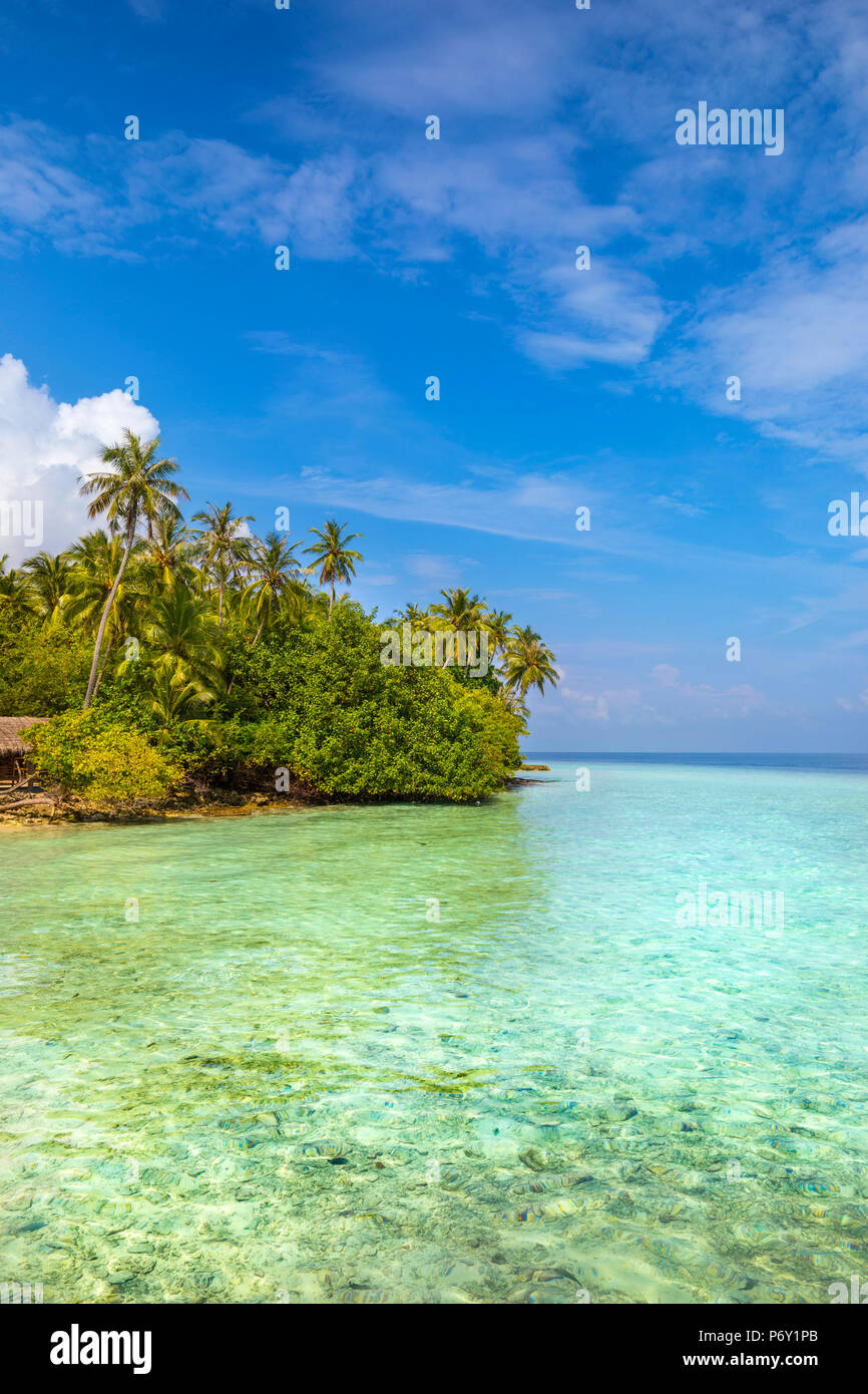 Beach on a tropical island in the South Male Atoll, Maldives Stock ...