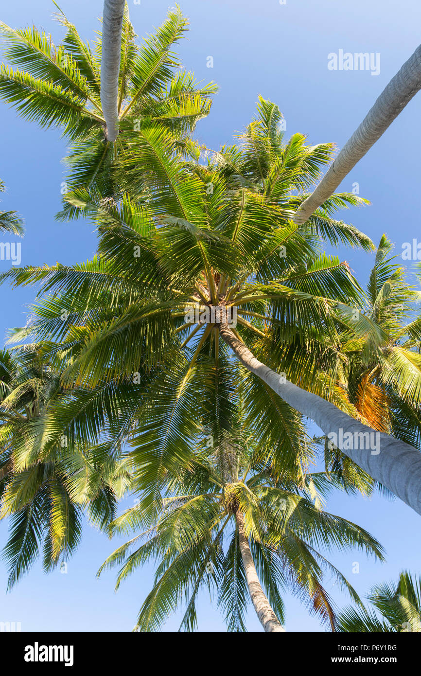 Maafushi island hi-res stock photography and images - Alamy