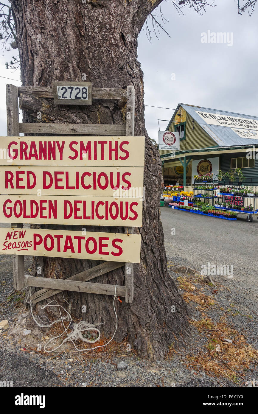 Old wooden advertising signs on tree at front of small local grocery ...