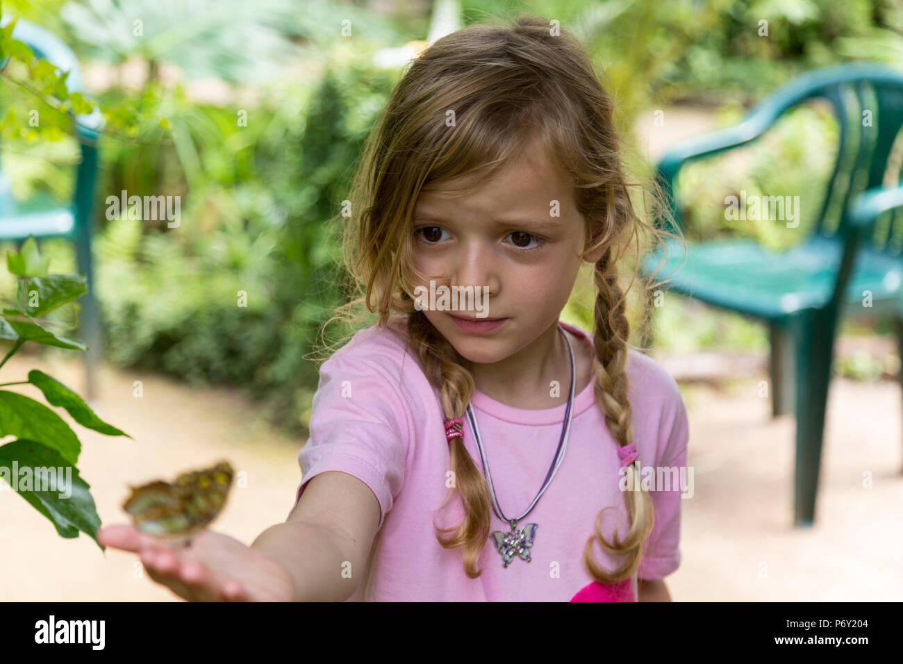 Child holding butterfly in hand hi-res stock photography and images - Alamy