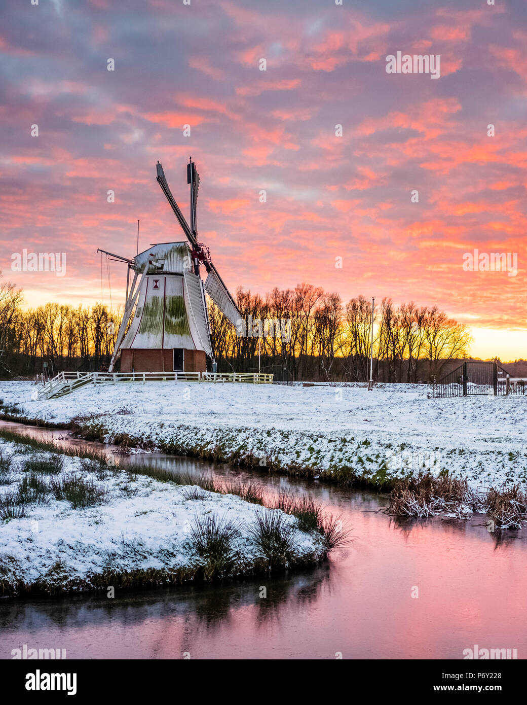 Witte Molen (White Mill) Dutch windmill in winter at sunset, Harn ...