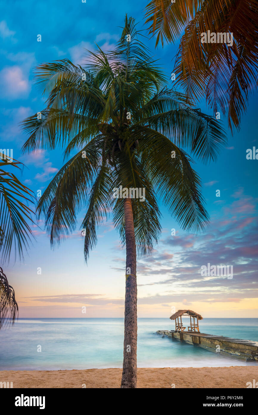 Caribbean, Trinidad and Tobago, Tobago, Sandy Point Stock Photo - Alamy