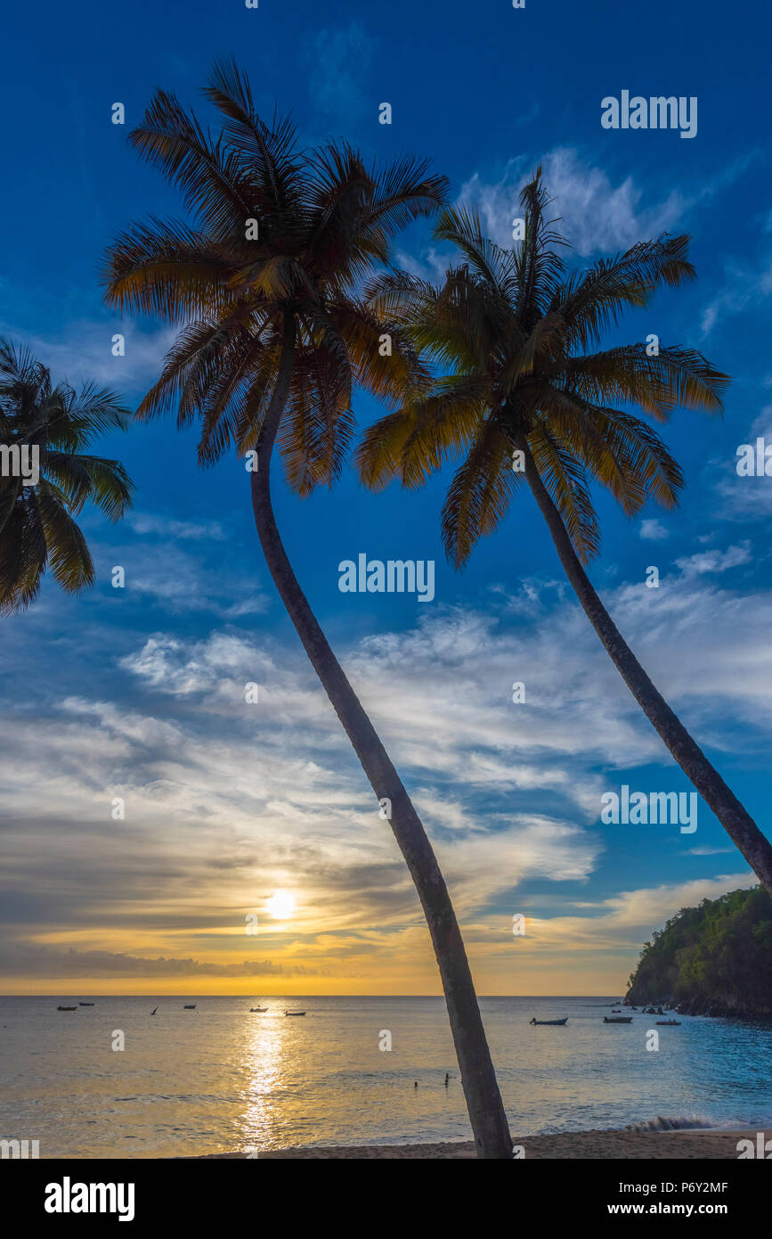 Caribbean, Trinidad and Tobago, Tobago, Castara Bay, Castara Stock ...