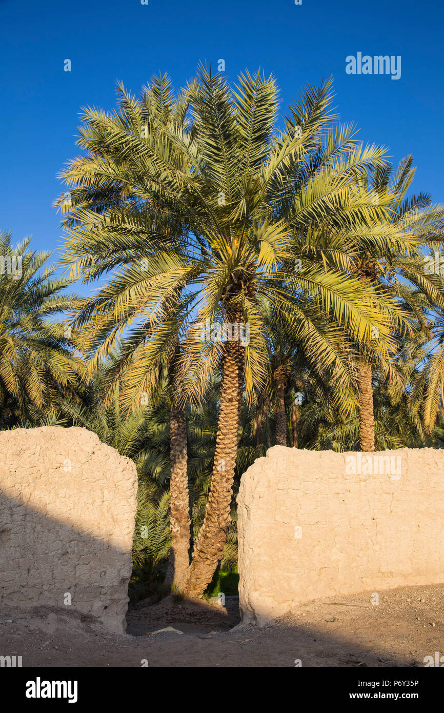 Al ain hili united arab emirates hi-res stock photography and images ...