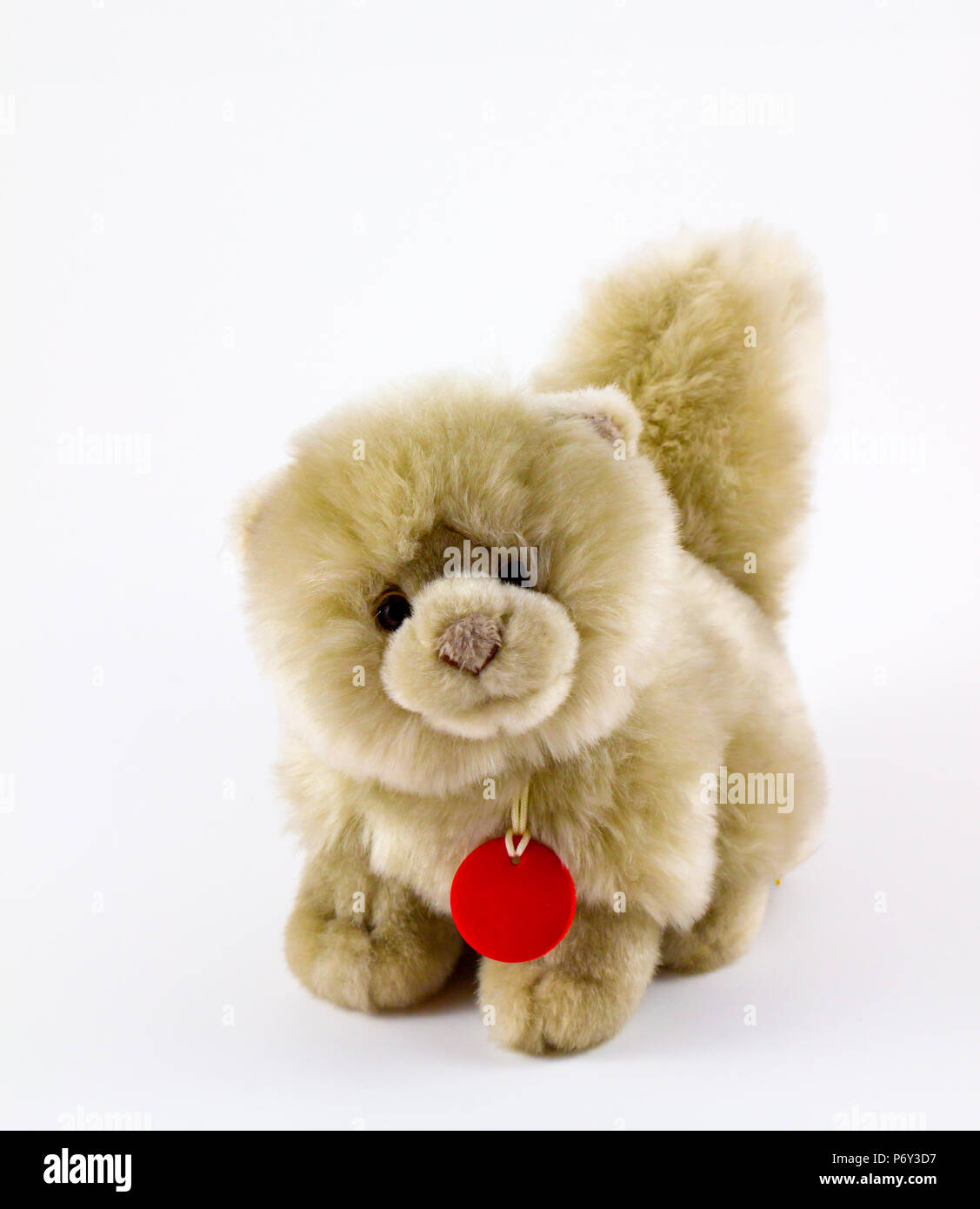 Soft plush toy animals isolated on white background / plush toy dog on ...