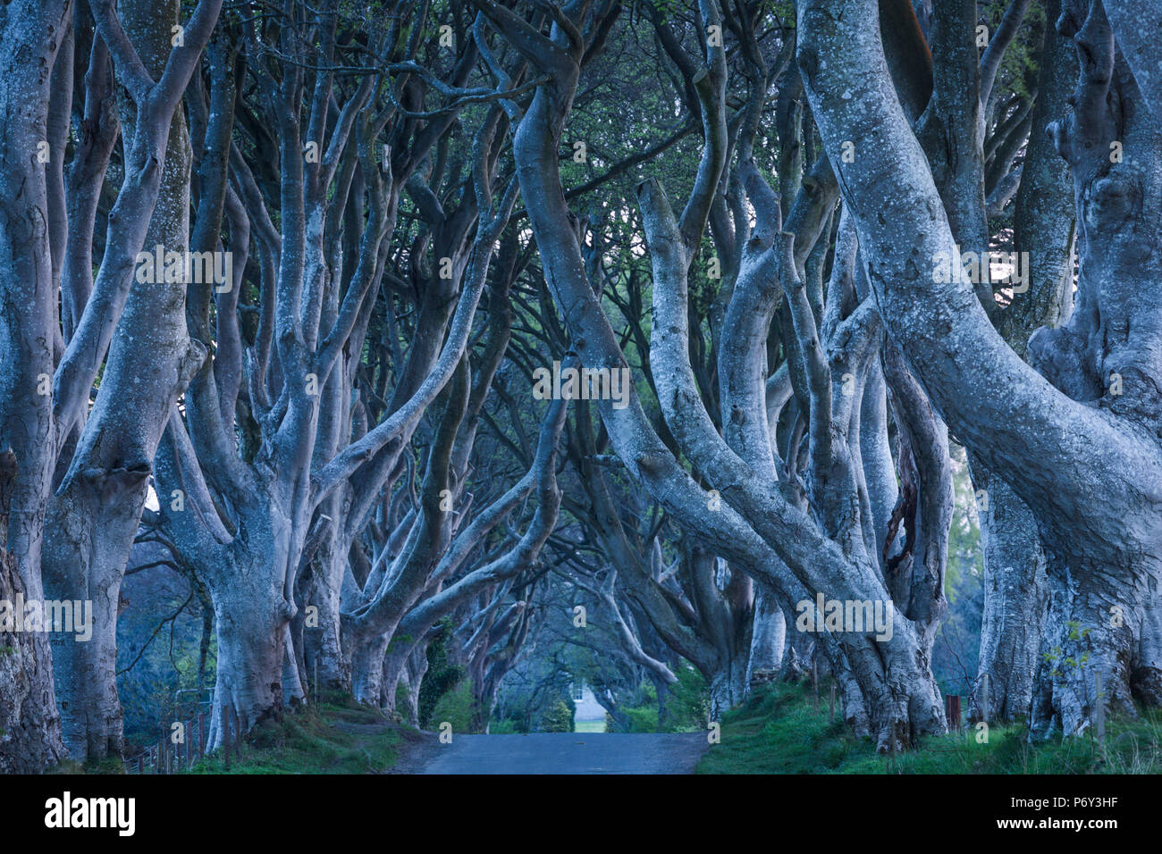 Ballymoney, county antrim hi-res stock photography and images - Alamy
