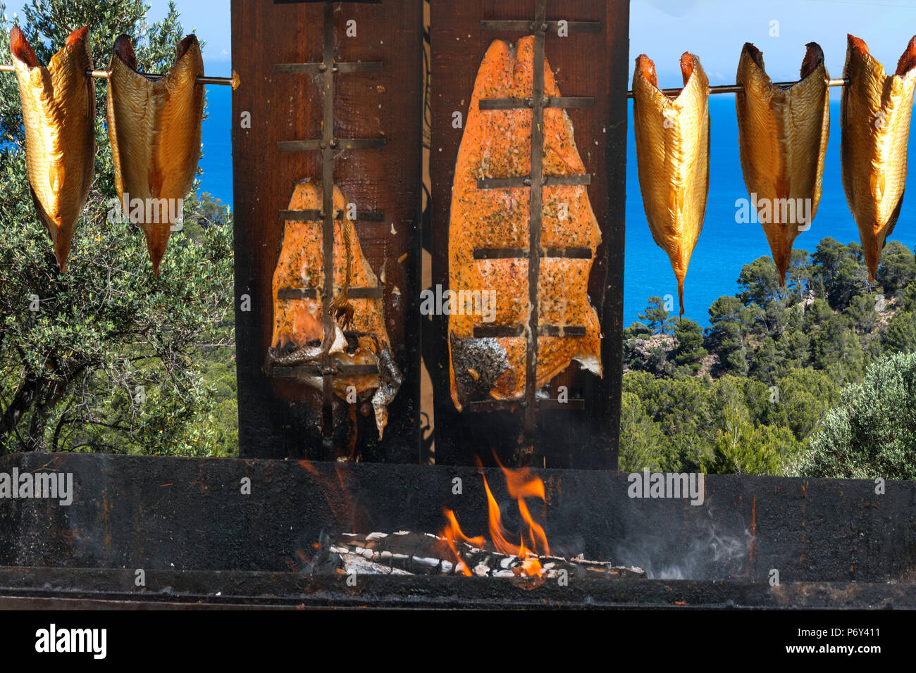 Preparation for smoking salmon over an open fire Stock Photo - Alamy