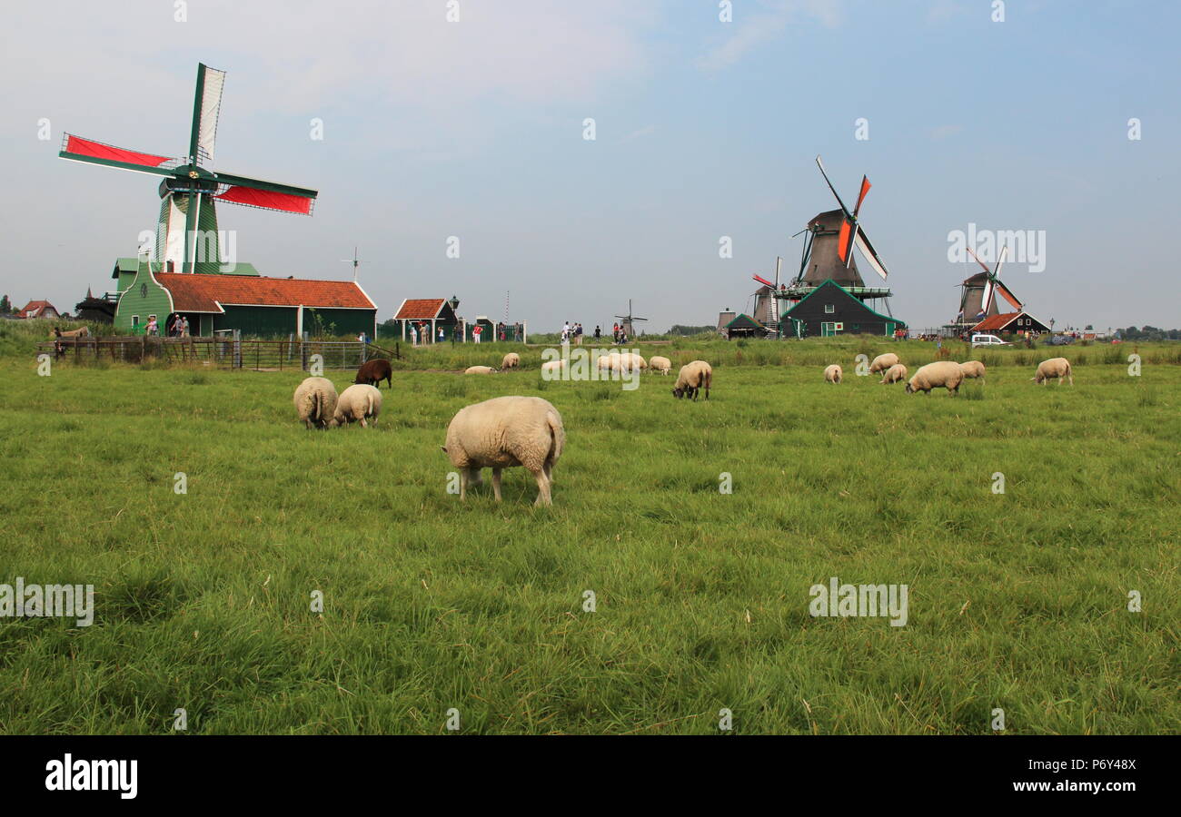 Everyday life for me on a perfect sunny day Stock Photo - Alamy