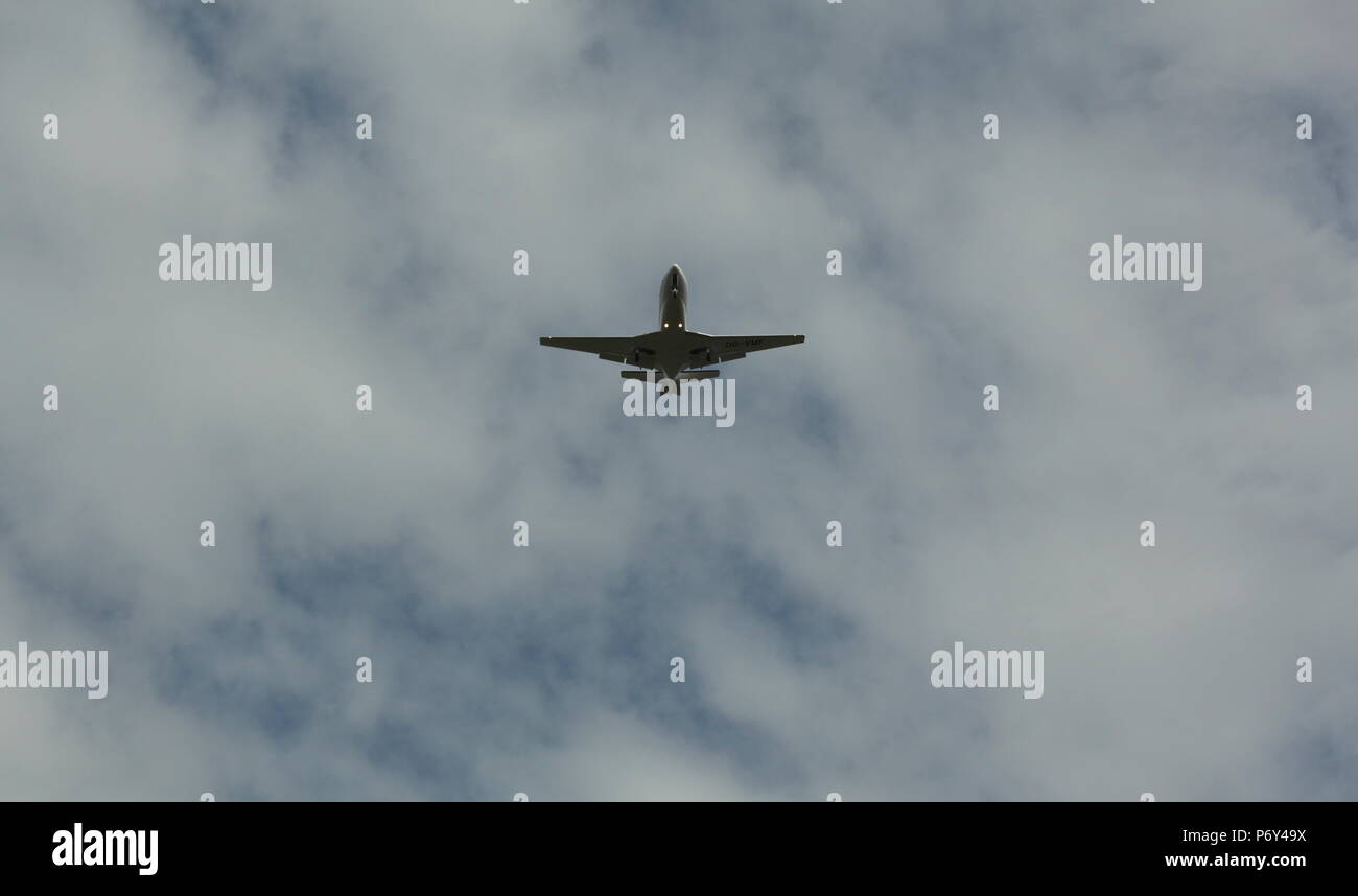 A walk in the Amsterdam Forest on a first warm spring day Stock Photo ...