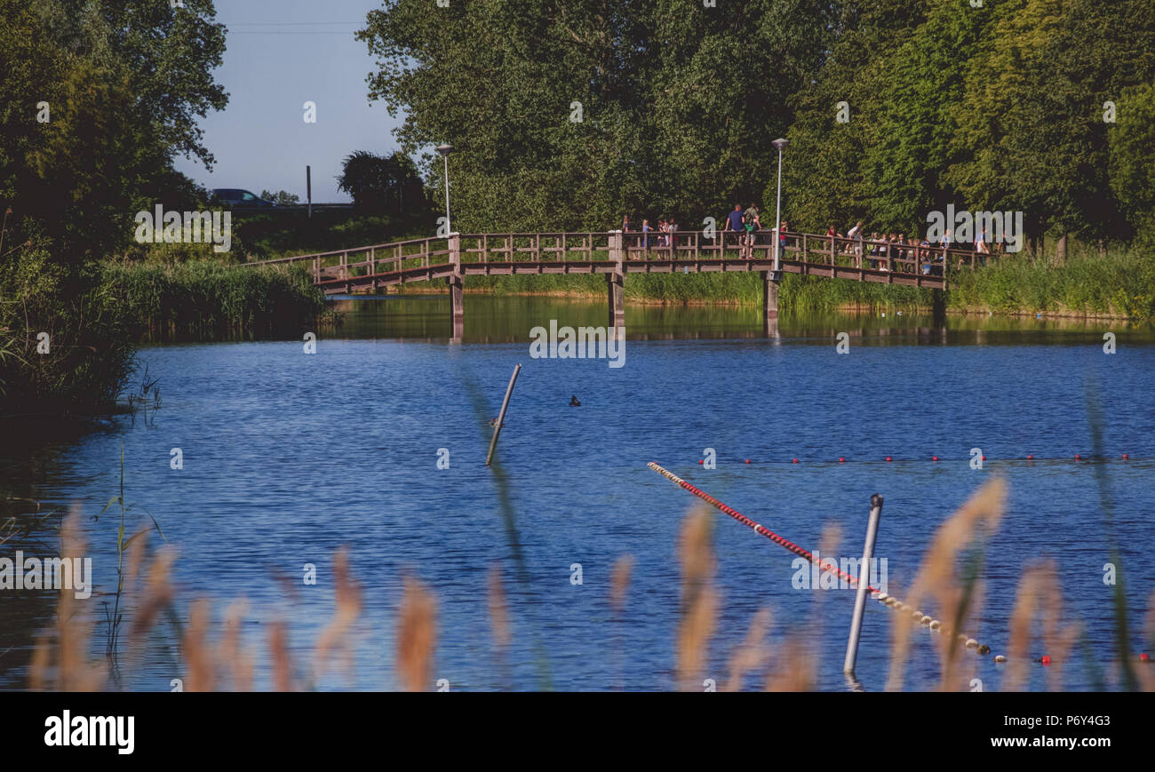 Dutch nature landscape around Amsterdam on a spring day Stock Photo - Alamy