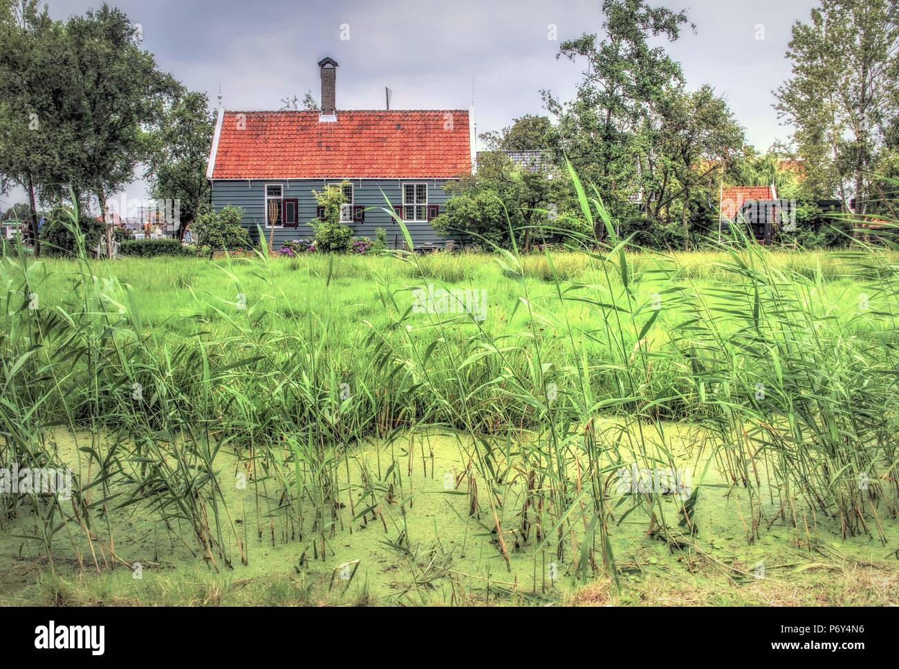 Authentic dutch landscape on a beautiful day Stock Photo - Alamy
