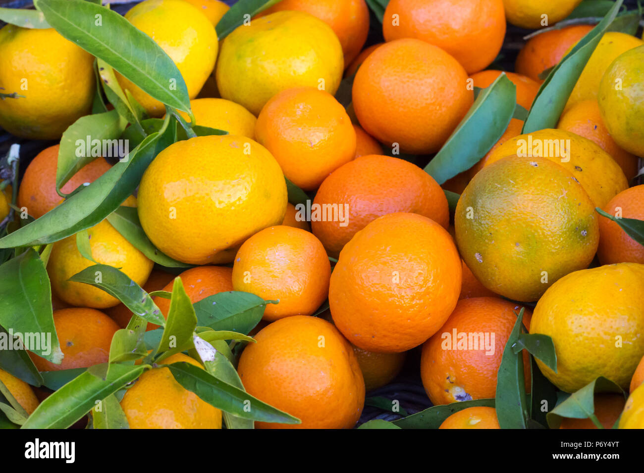Healthy organic oranges at the market Stock Photo - Alamy
