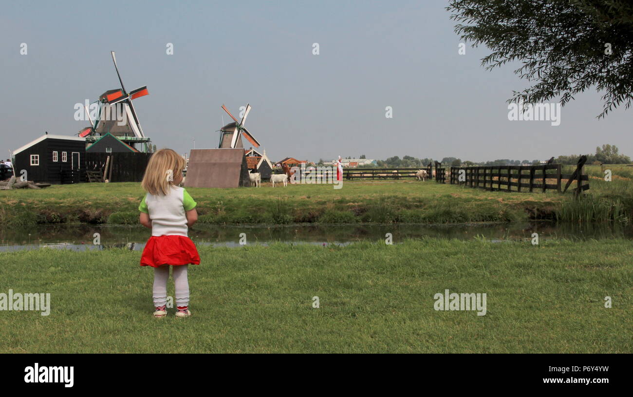 Authentic dutch landscape on a beautiful day Stock Photo - Alamy