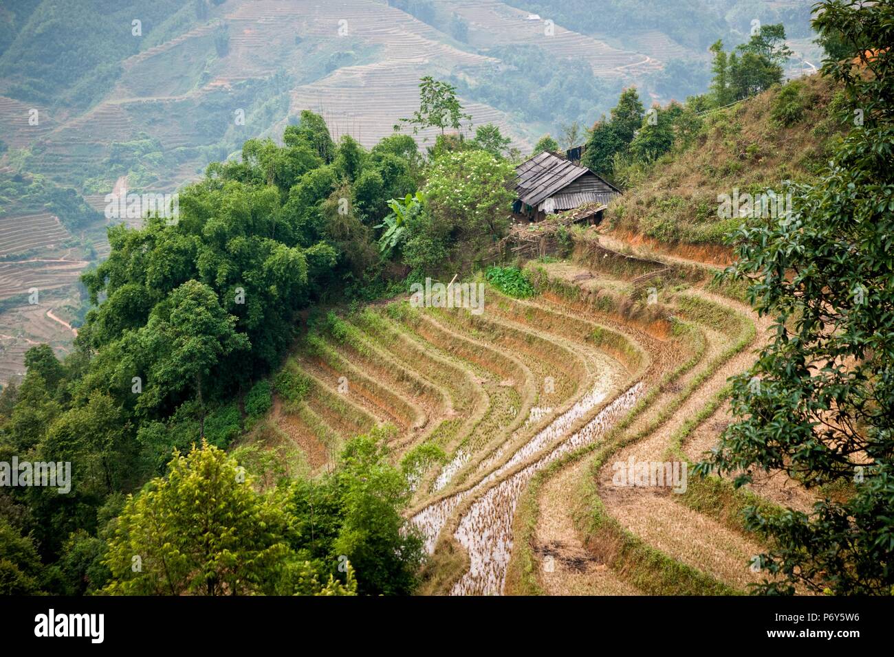 Asia china rice terraces rice farmers hi-res stock photography and ...