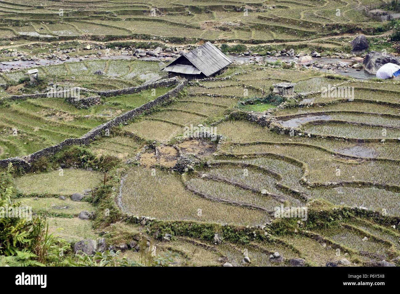 Asia china rice terraces rice farmers hi-res stock photography and ...