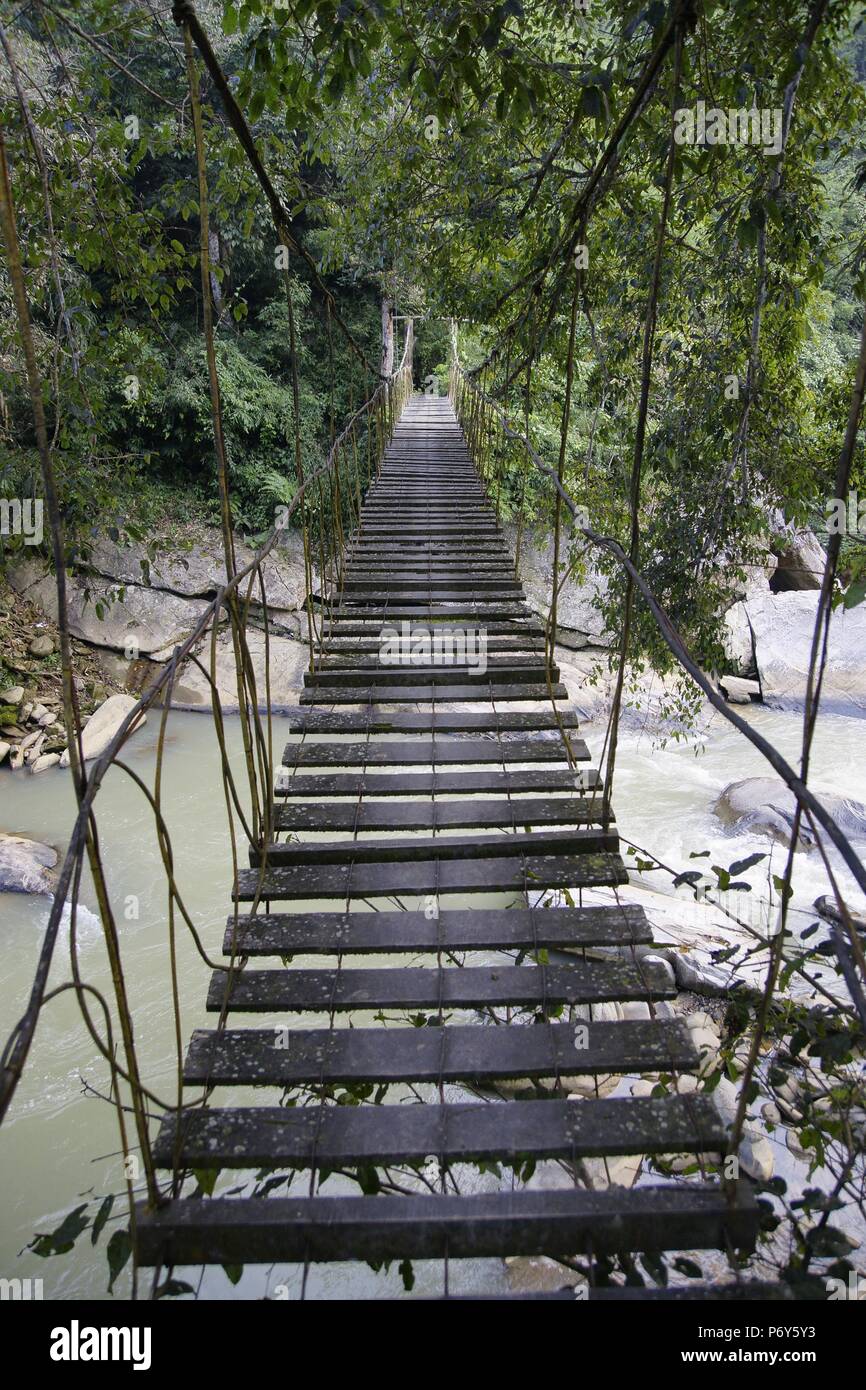 Aerial woman crossing rope bridge hi-res stock photography and images ...