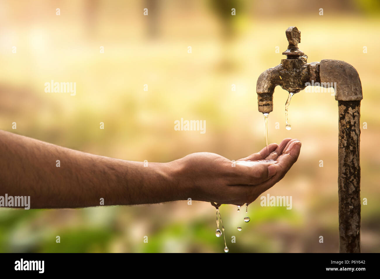Child hands cupped water hi-res stock photography and images - Alamy