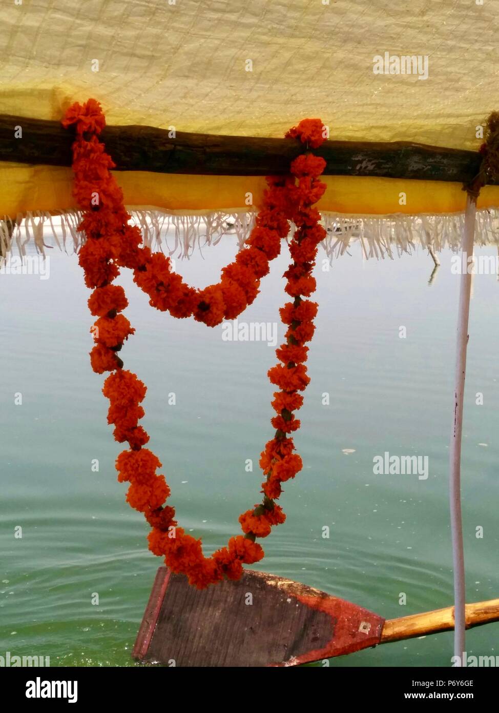 Marigolds rowing boats hi-res stock photography and images - Alamy