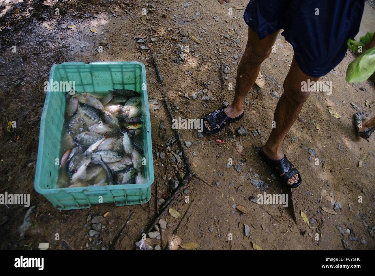 Seafood catches hi-res stock photography and images - Alamy