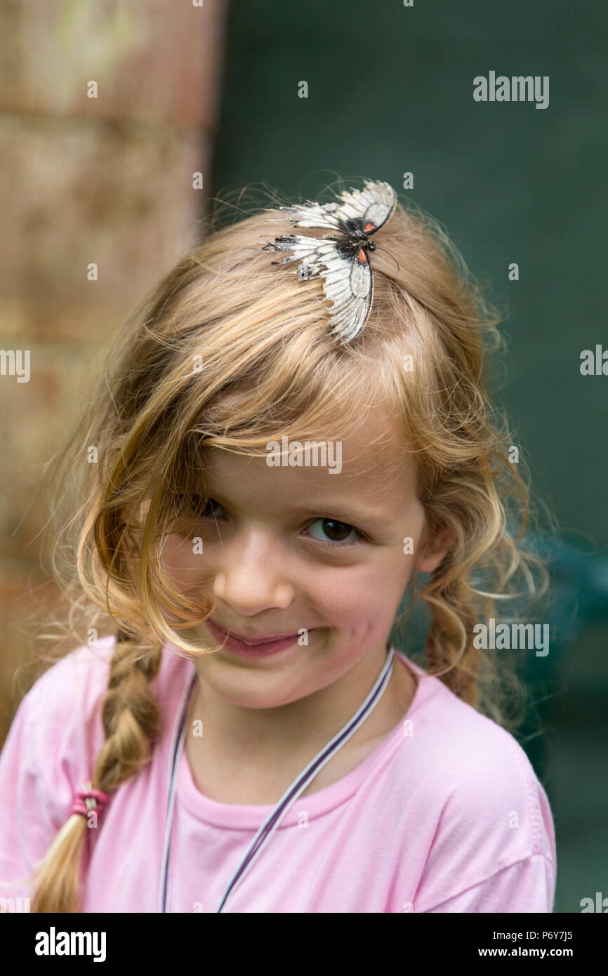 Focus on forefront hi-res stock photography and images - Alamy