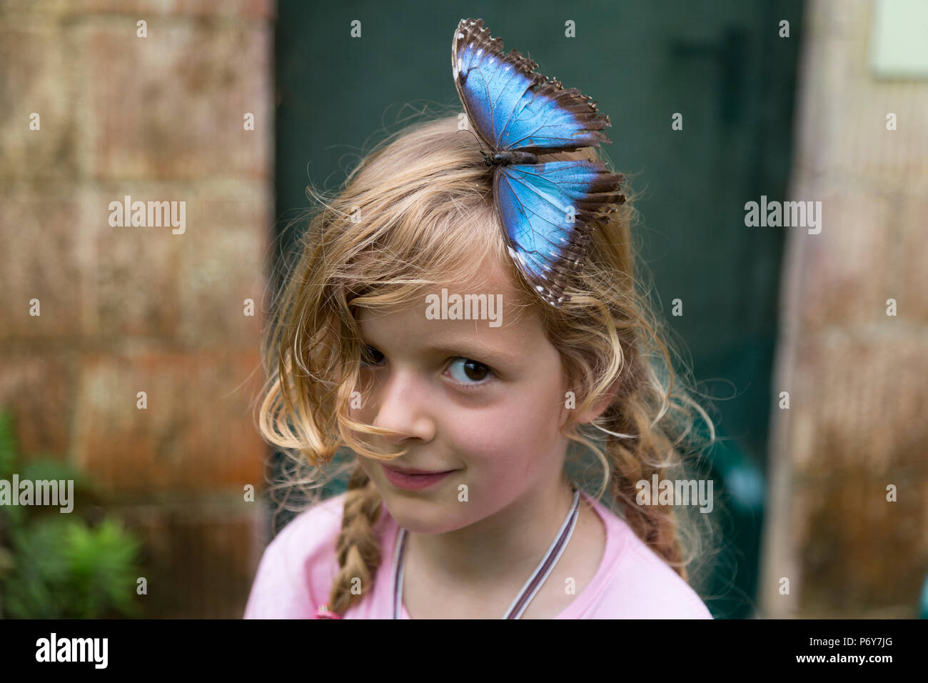 Portrait happy butterfly hi-res stock photography and images - Alamy