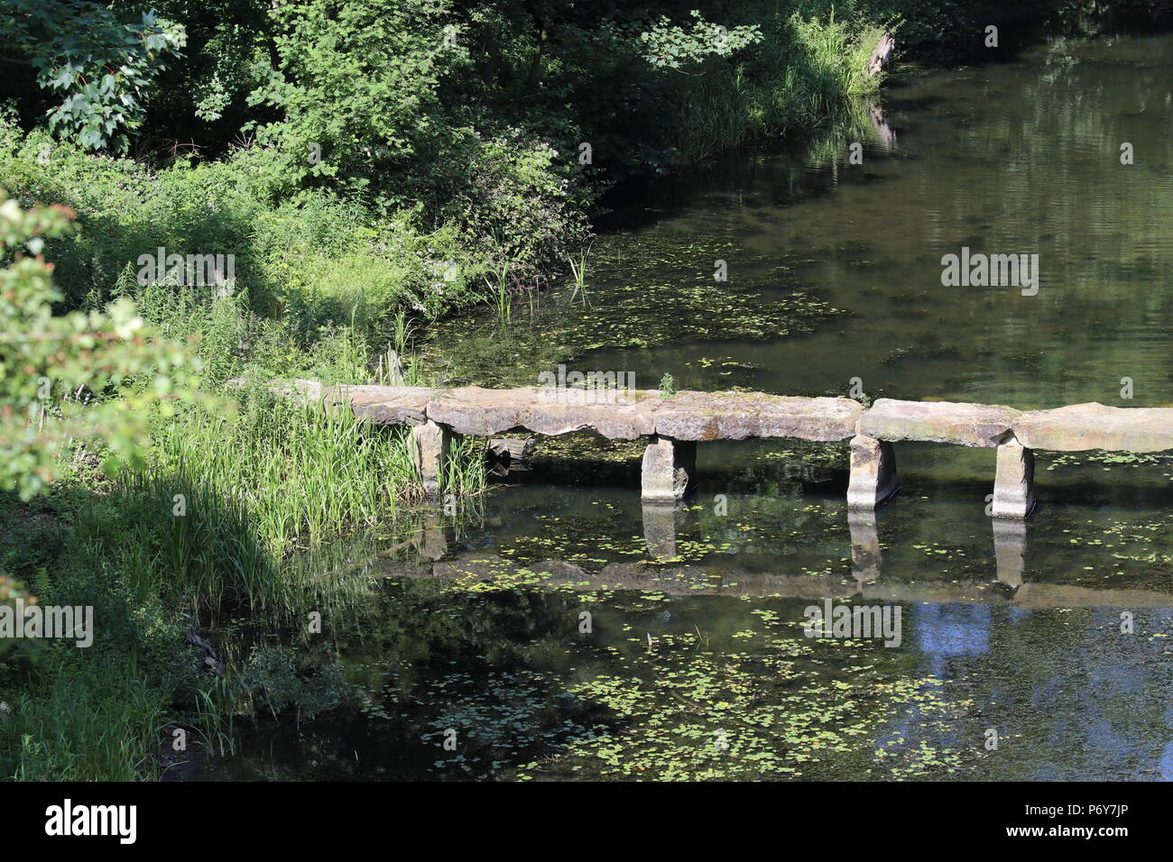 Druids stone hi-res stock photography and images - Alamy