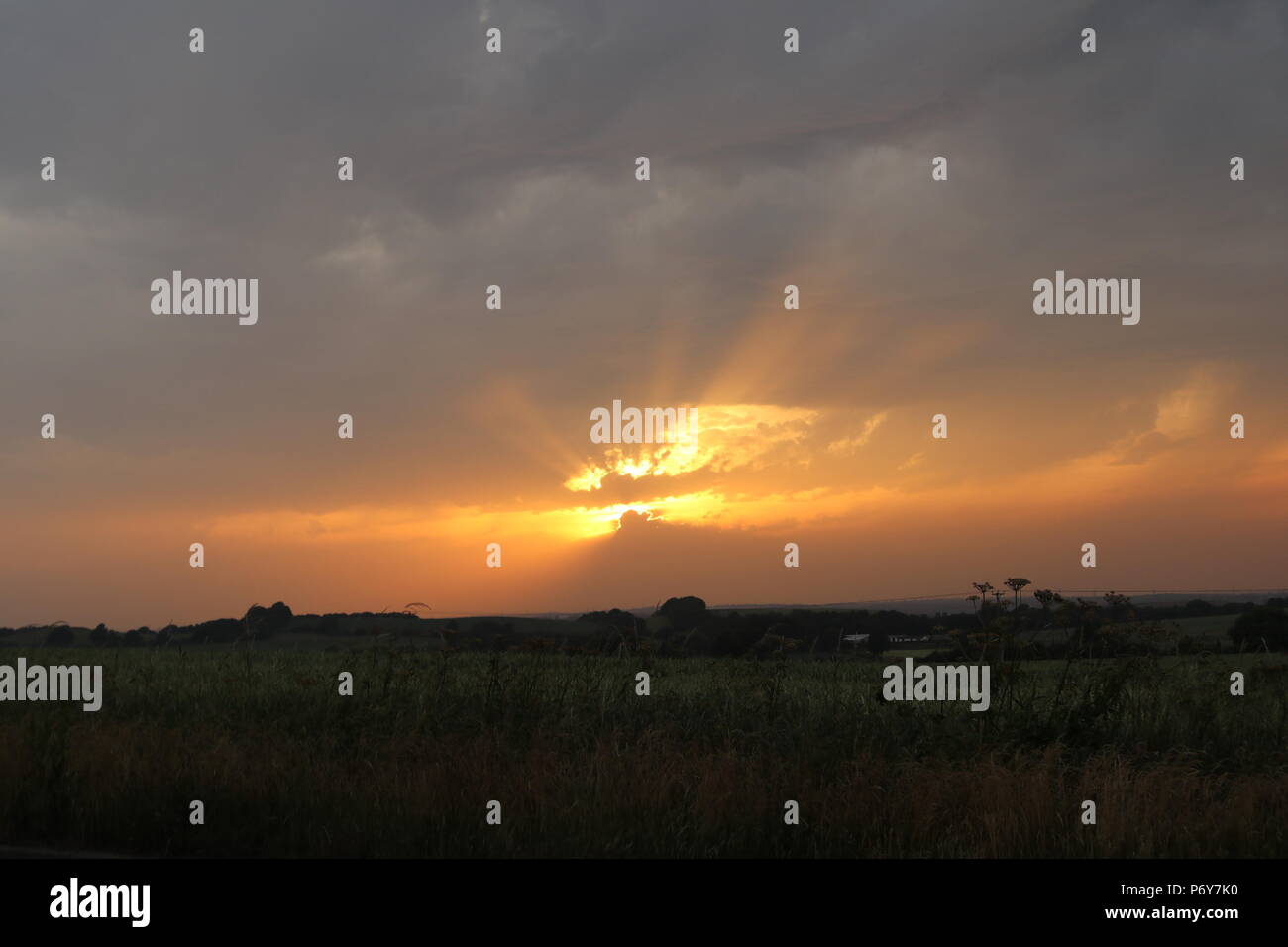 Blinding sun rays hi-res stock photography and images - Alamy