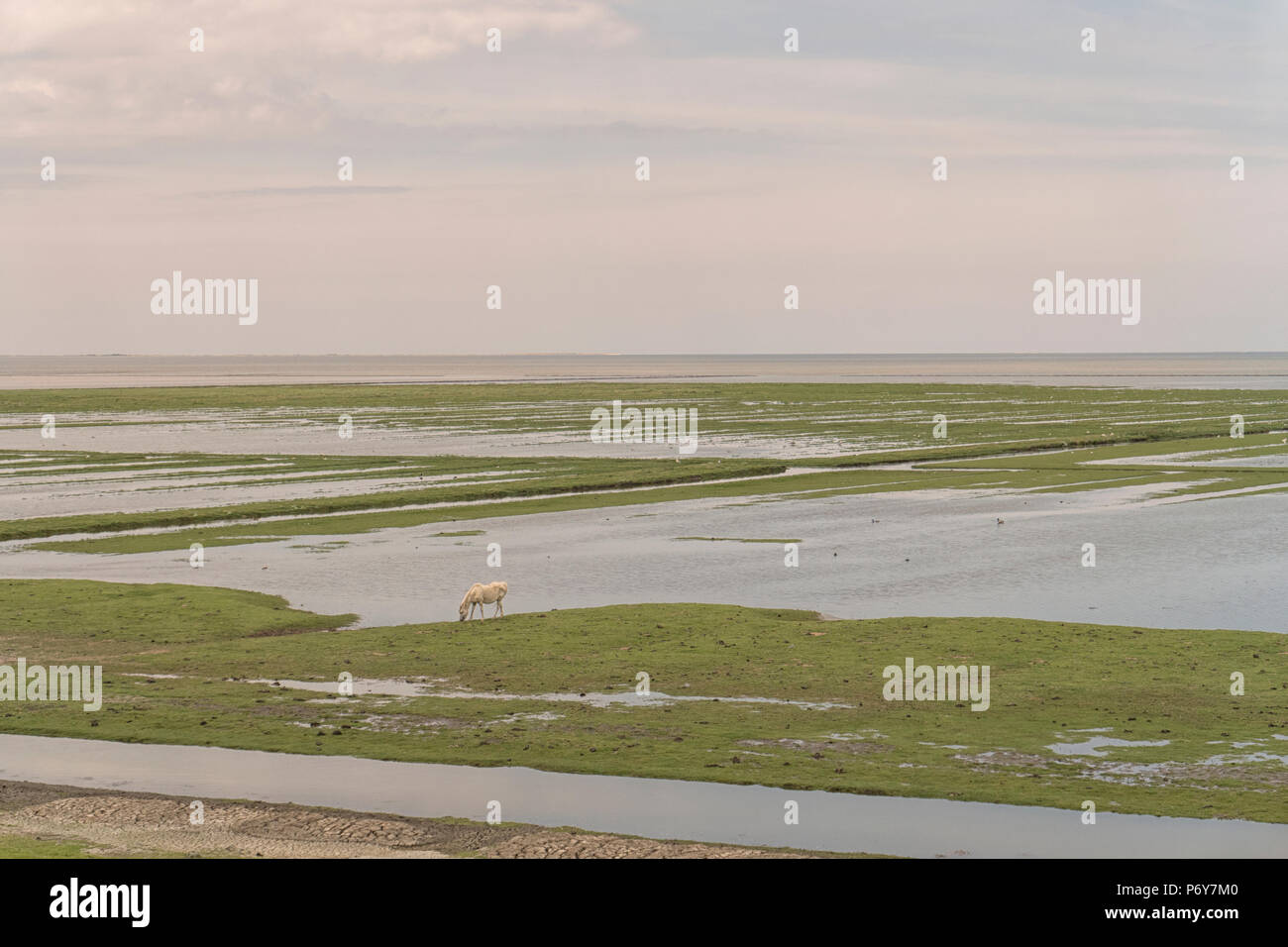 Marsh reclamation hi-res stock photography and images - Alamy