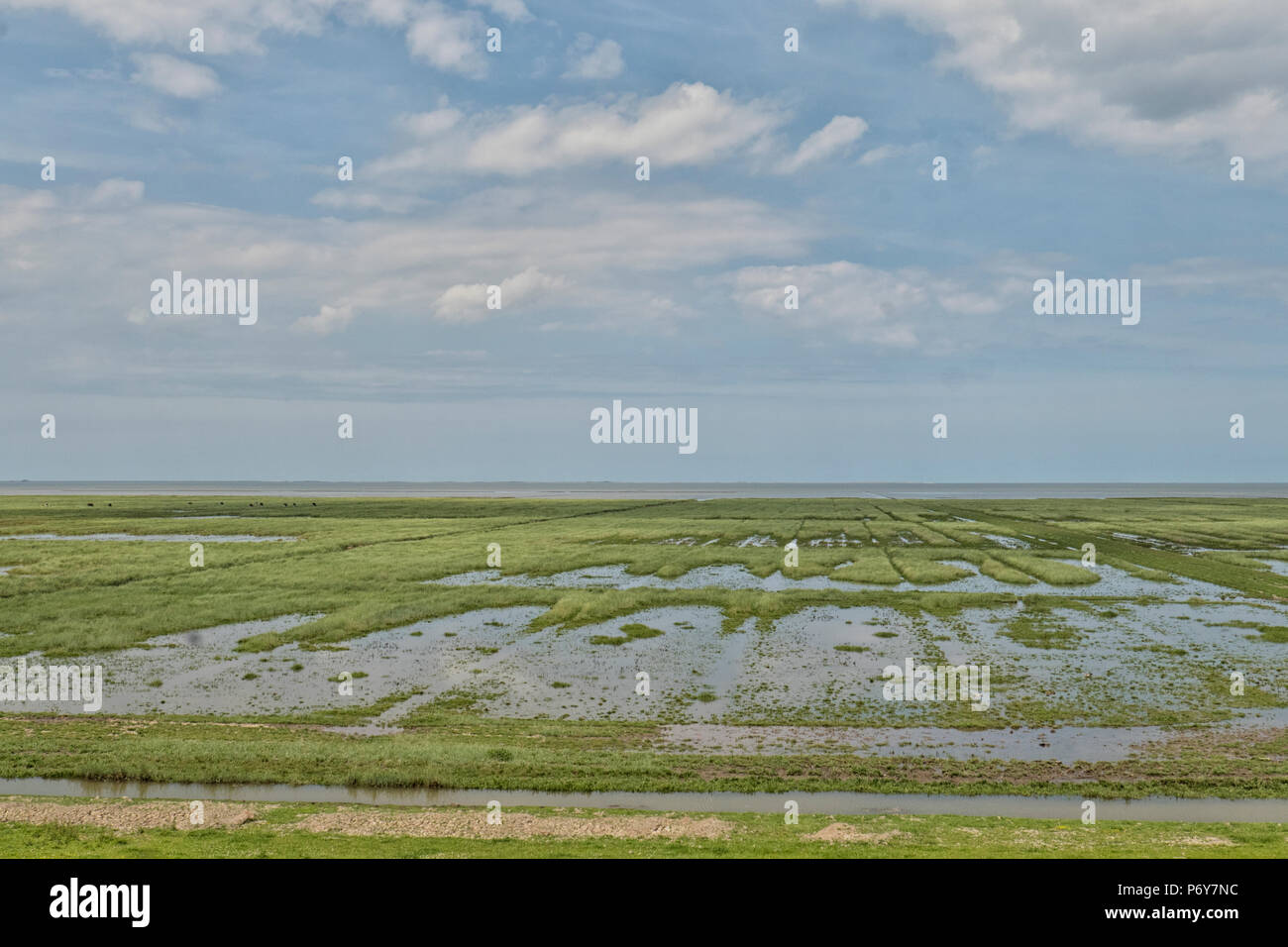Reclaimed marsh hi-res stock photography and images - Alamy