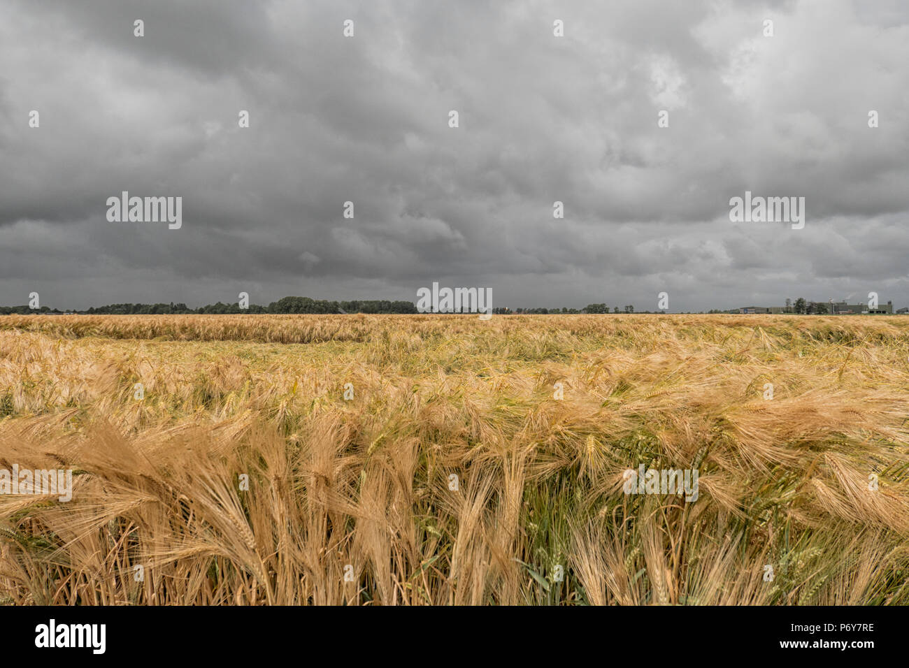 Dark sky skies countryside hi-res stock photography and images - Alamy