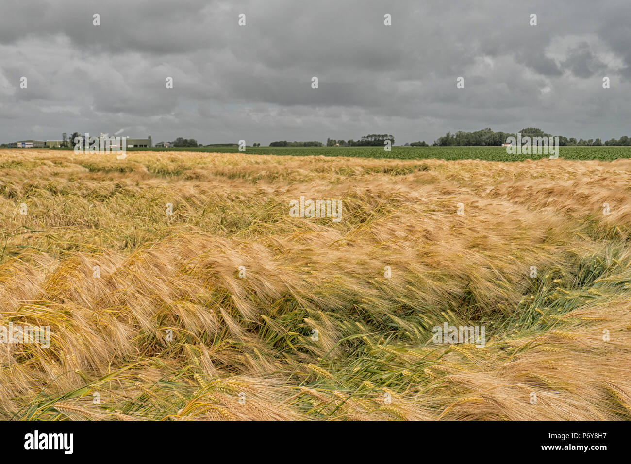 Crop dark hi-res stock photography and images - Alamy