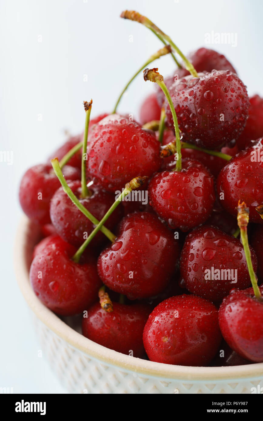 Macro shot of cherries in a white ceramic bowl. Blue background, high ...