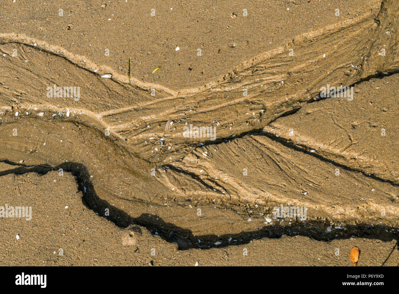 Lines and shapes in nature hi-res stock photography and images - Alamy