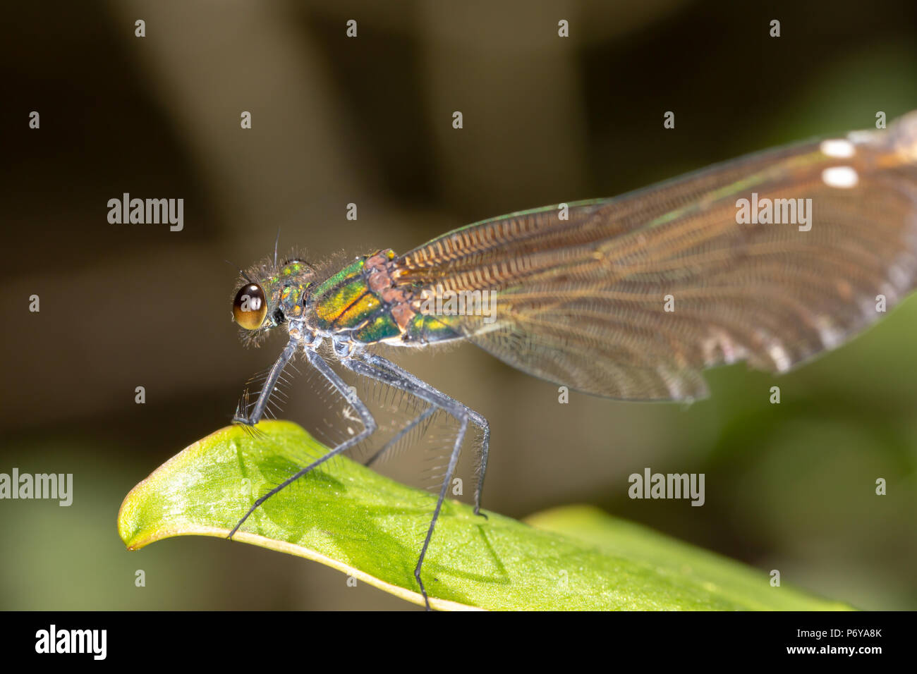 Bourne valley hi-res stock photography and images - Alamy