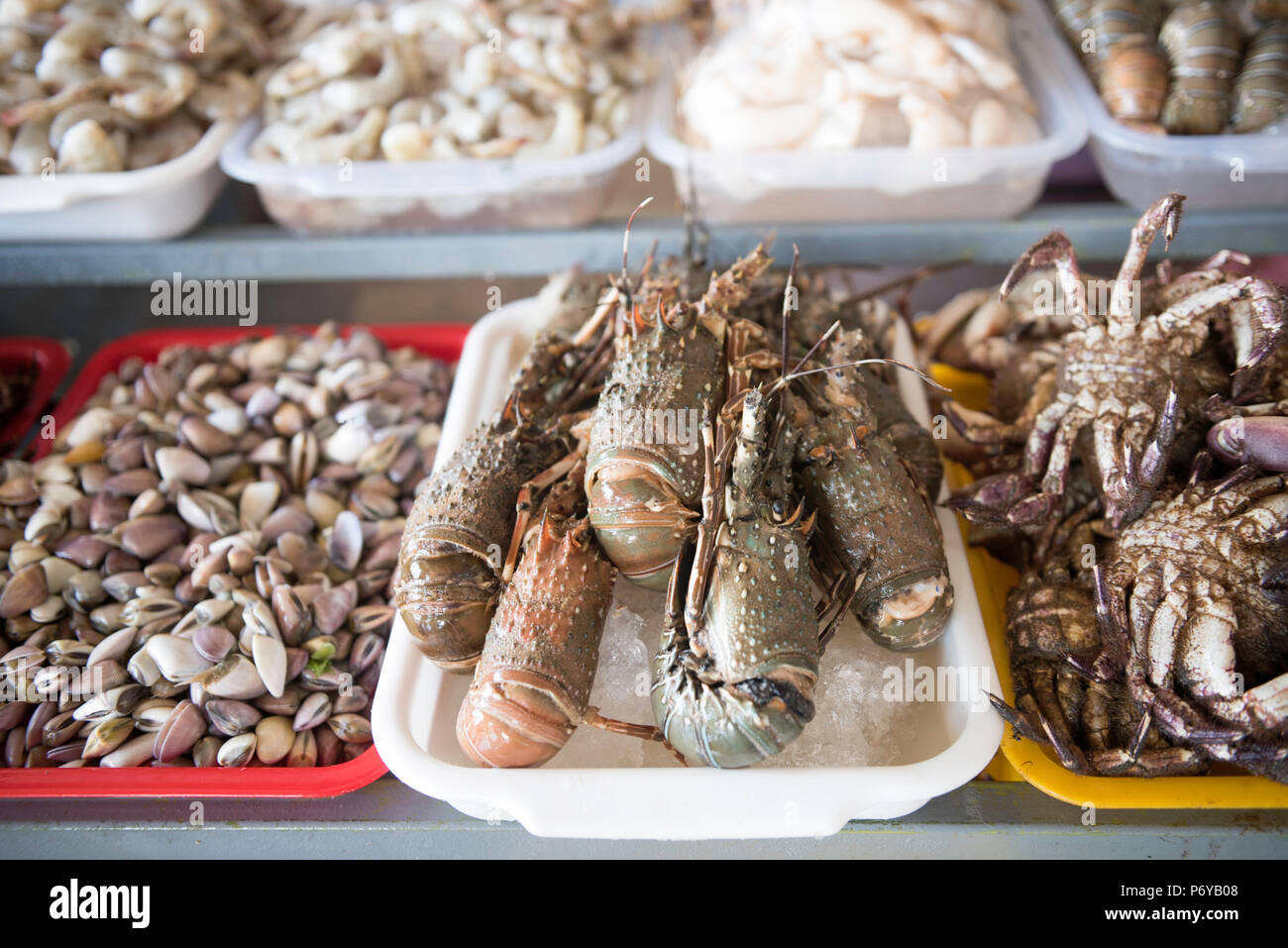 lobsters in ice on store shelves to control the temperature on trays of ...