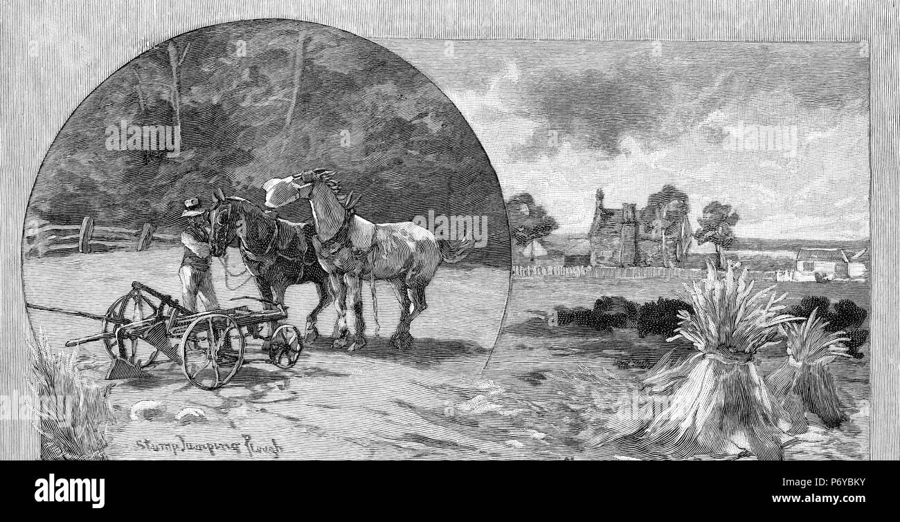 Plough in 1800s hi-res stock photography and images - Alamy