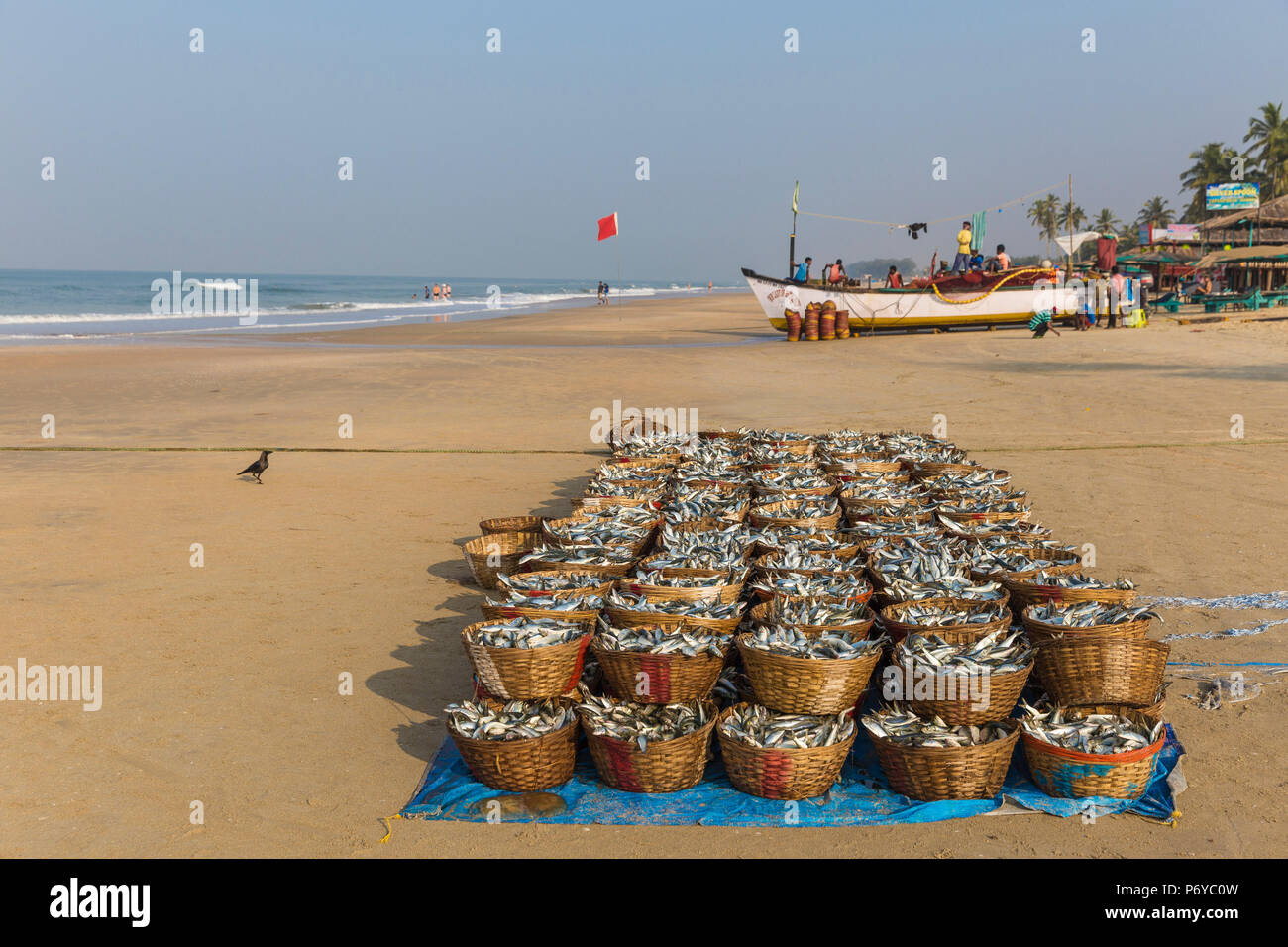 India, Goa, Colva beach Stock Photo - Alamy