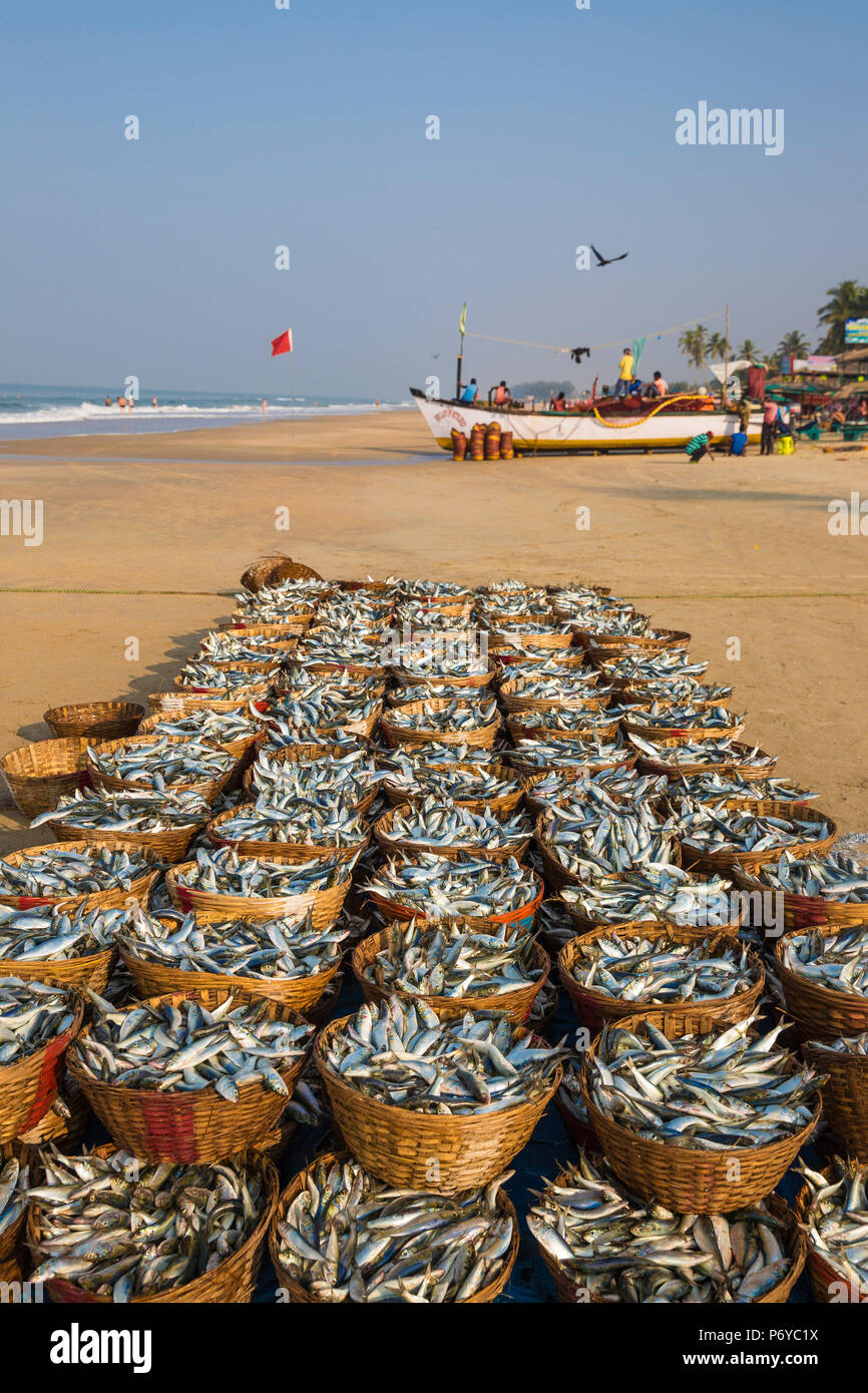 India, Goa, Colva beach Stock Photo - Alamy